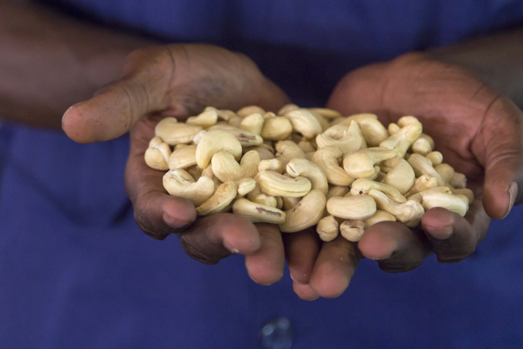 Towards a traceable cashew supply chain in Côte d’Ivoire - FairMatch